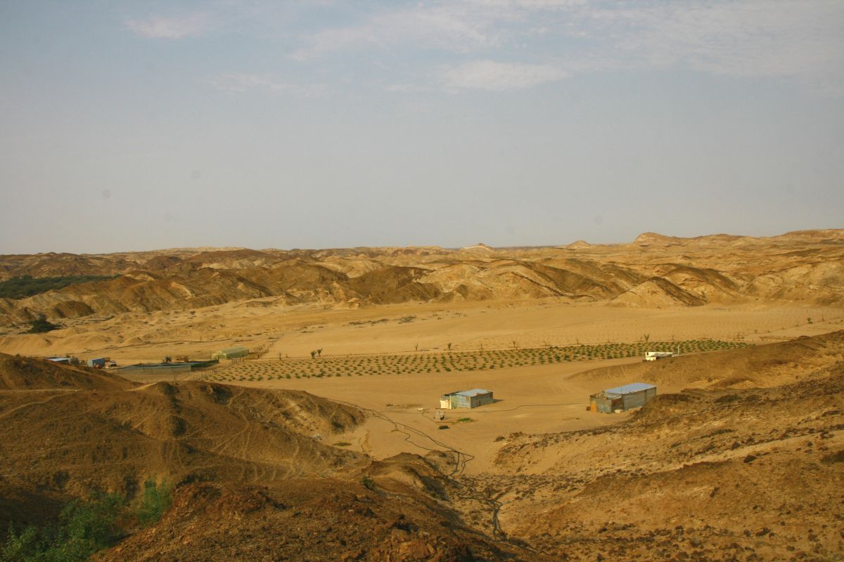 Jojoba Namibia - Blog